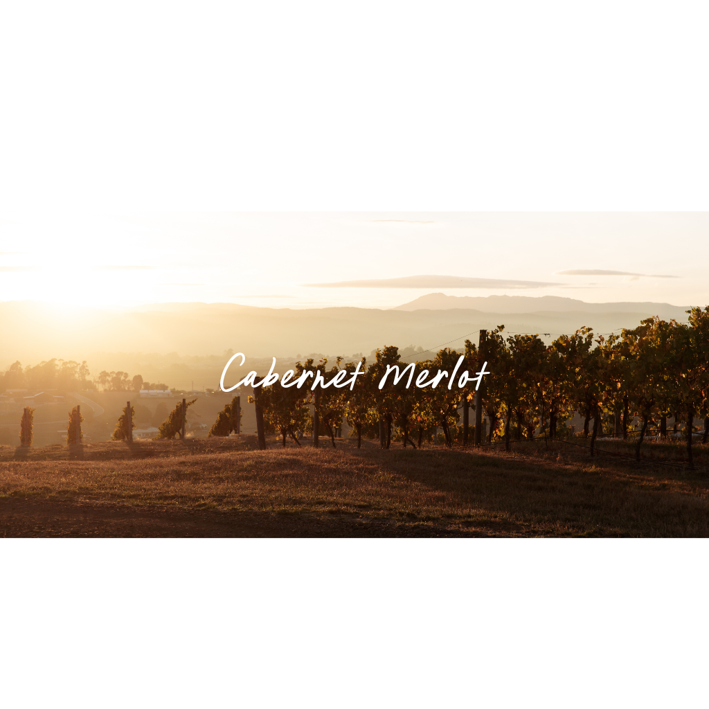 Tasmanian Cabernet Merlot | Cool-Climate Bordeaux Blend - Wildstate Wines