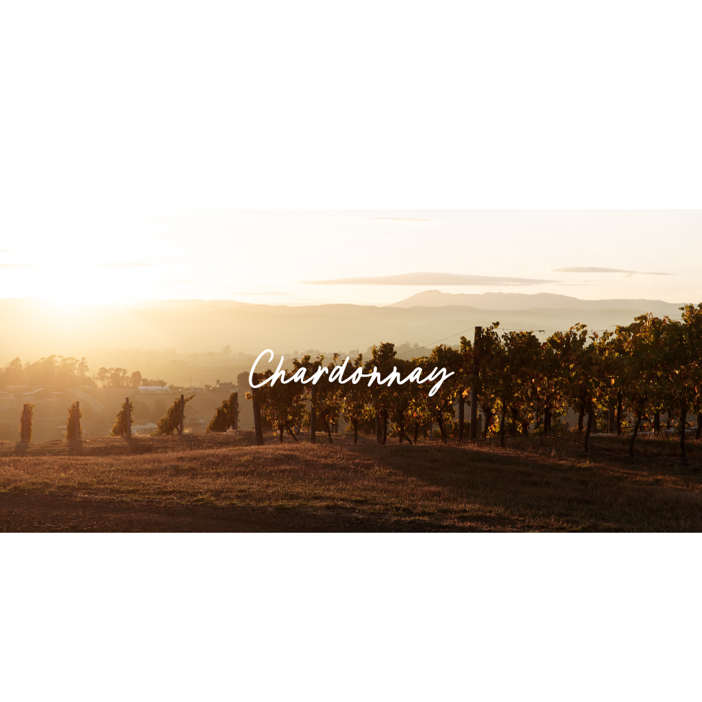 Wildstate Wines | Tasmanian Chardonnay