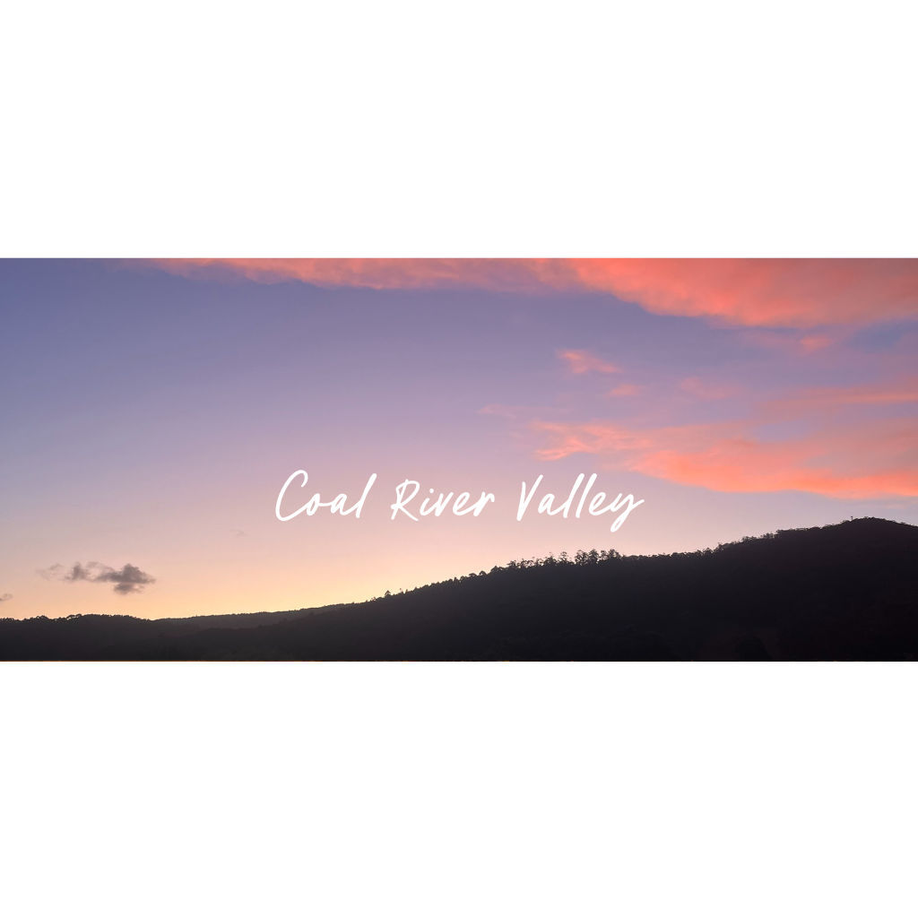 Wildstate Wines | Coal River Wine